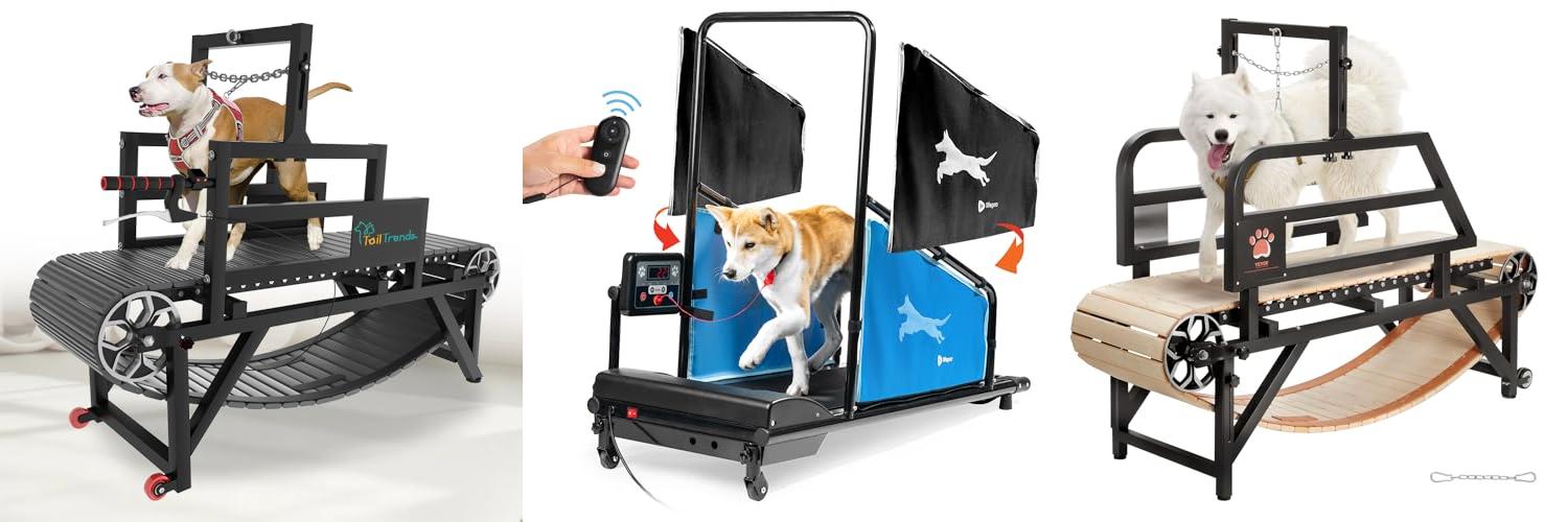 Top 5 Dog Treadmills: Your Ultimate Buying Guide