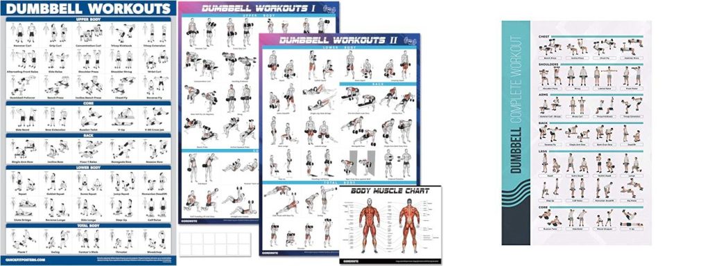 Top 5 Gym Exercises For Beginners: Your First Workout Guide