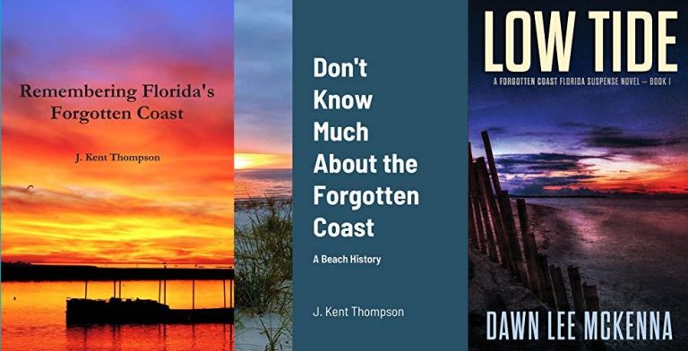 Best Beaches Forgotten Coast - Top 5 Picks & Review