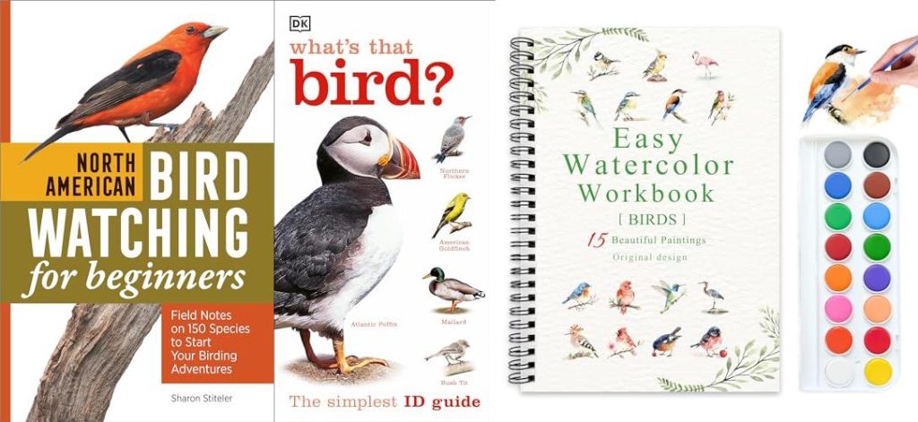 Top 5 Beginner Birds: Your Ultimate Care Guide